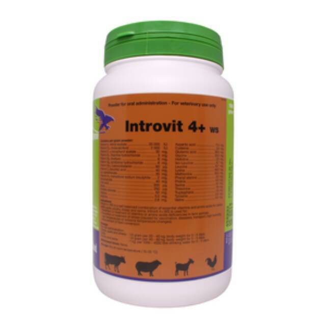 Jual Obat hewan INTROVIT 4+ws 1kg produksi TMC | Shopee Indonesia
