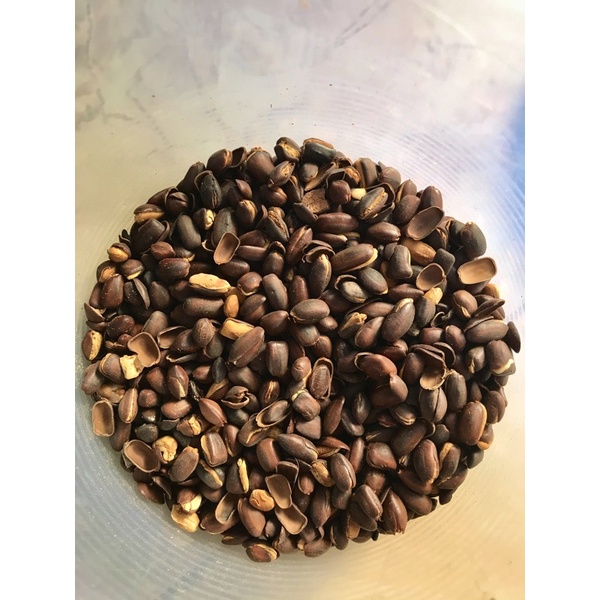 Jual 500gr GODRIL / BIJI TREMBESI GORENG / MUNGGUR | Shopee Indonesia