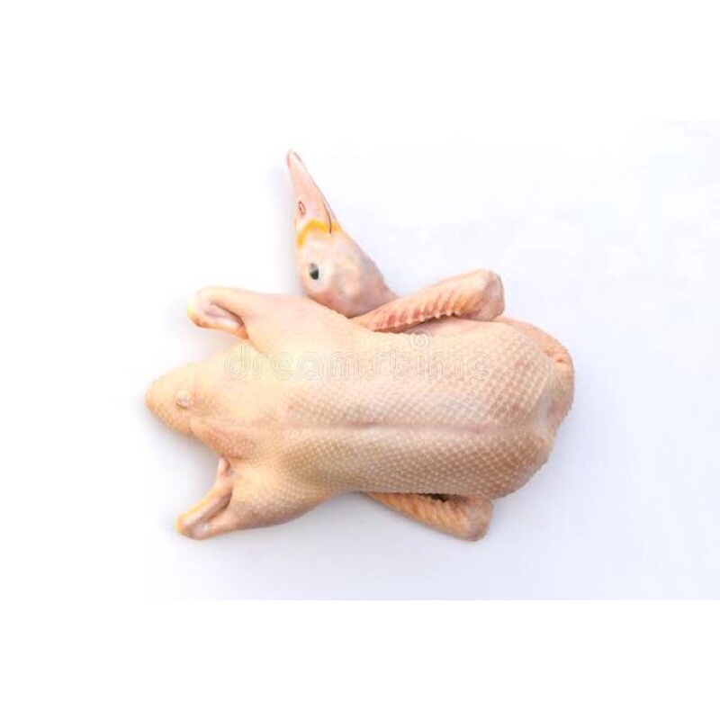 Jual Daging Bebek/Entok 1 Ekor Fresh Segar (baru potong & sudah bersih ...