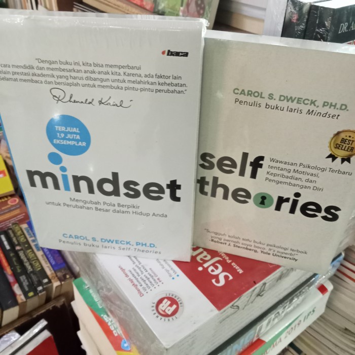 Jual buku motivasi MINDSET DAN SELF THEORIES | Shopee Indonesia