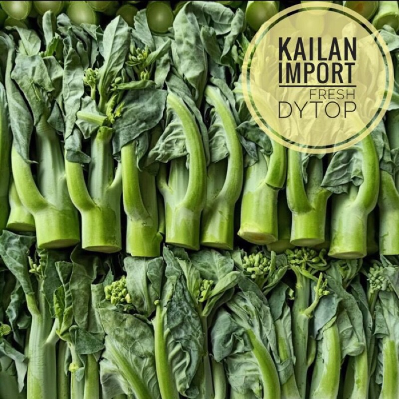 Jual Sayur Kailan Import Fresh Segar - Per 500 Gr | Shopee Indonesia