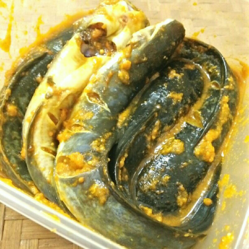 Jual Lele bumbu kuning 1kg | Shopee Indonesia