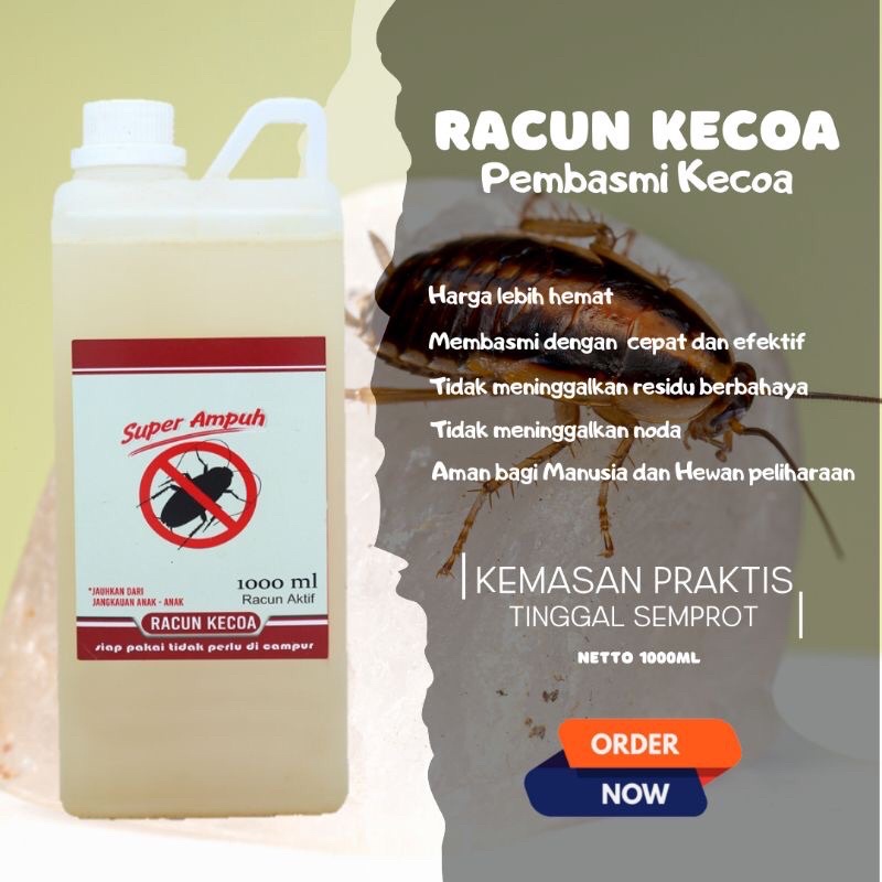 Jual RACUN PEMBASMI KECOA OBAT ANTI KECOA KECOAK PENGUSIR KECOA KECOAK ...