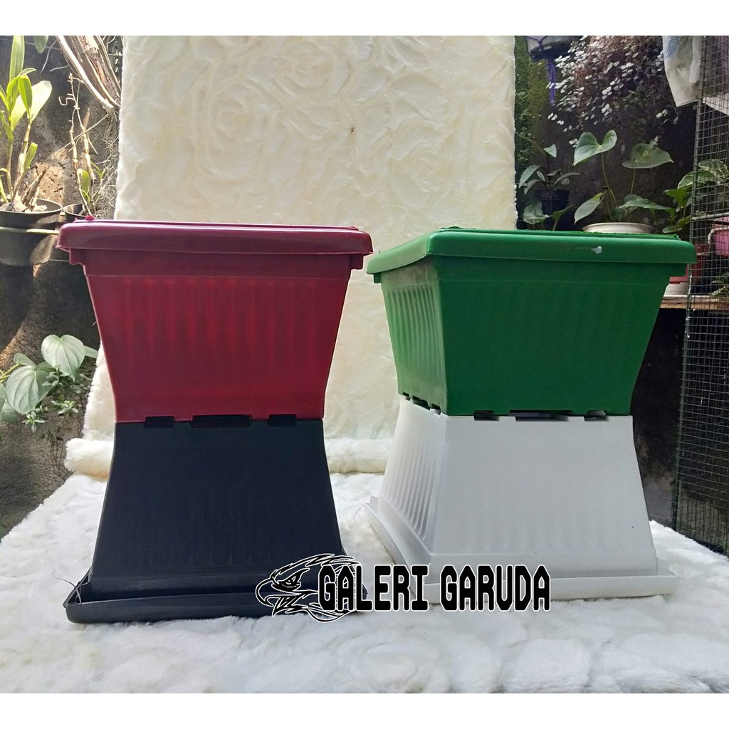 Jual Pot Bunga Kotak , Pot Bunga Persegi | Shopee Indonesia