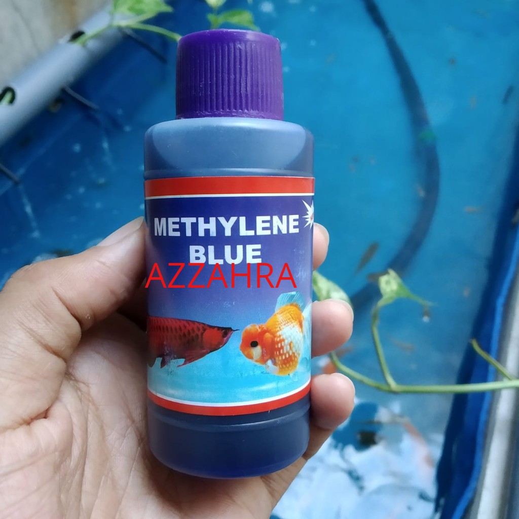 Jual Methylene Blue - Obat Biru - Obat Ikan Hias - Anti Parasit Bakteri | Shopee Indonesia