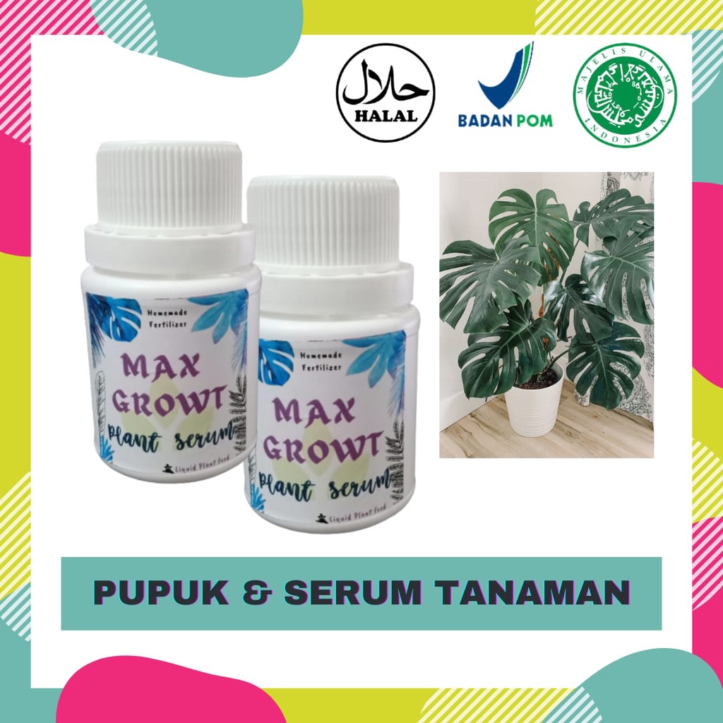 Jual MAX GROW Serum & Pupuk Booster POC Tanaman Hias, Pupuk Daun, Buah ...