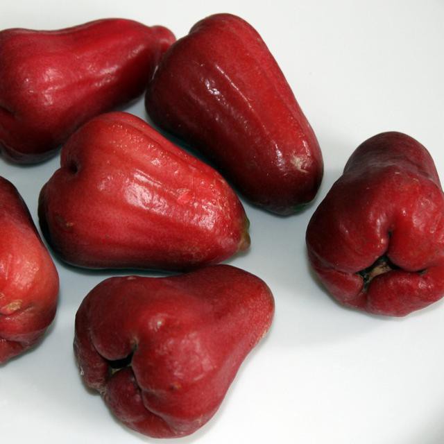 Jual Jambu Citra Rasa Manis | Jambu Cincalo hijau manis | Jambu Bol ...