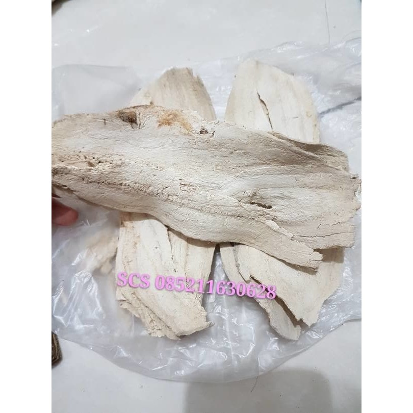 Jual ge gen Pueraria Root Kudzu Lobed Kudzuvine Root 100 gram | Shopee ...