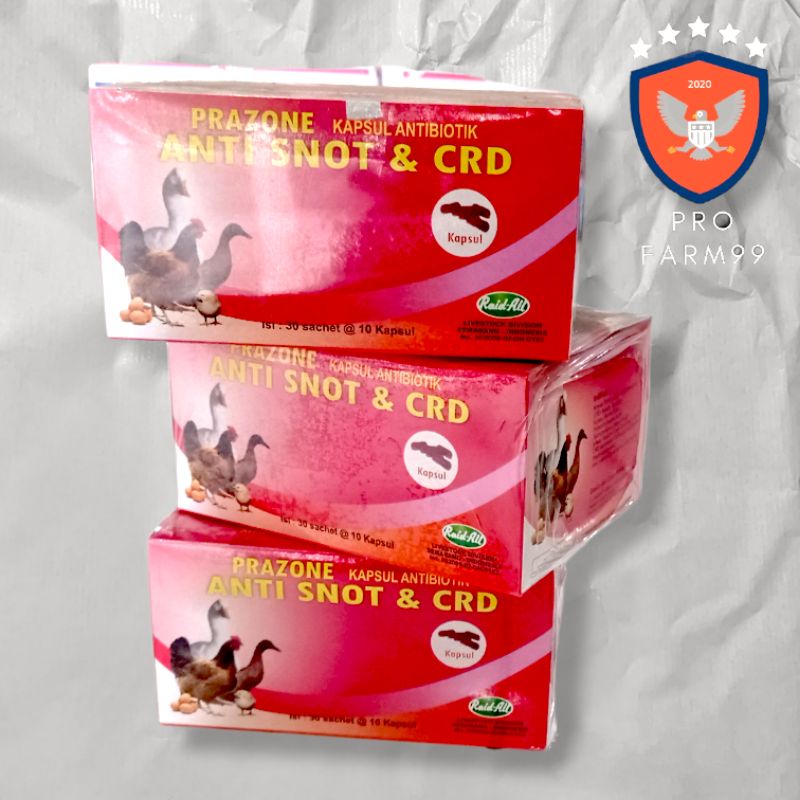 Jual Obat Anti Snot Pilek Ayam RAID ALL 1 DUS | Shopee Indonesia