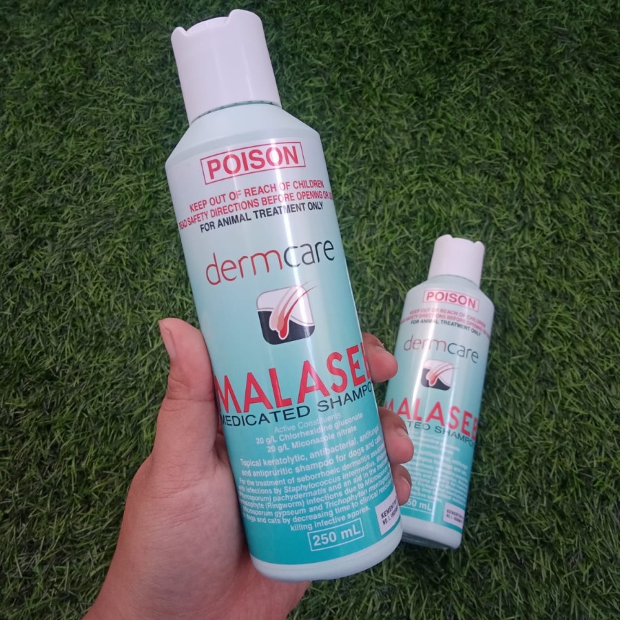 Jual POISON MALASEB MEDICATED SHAMPO 250ml | Shopee Indonesia