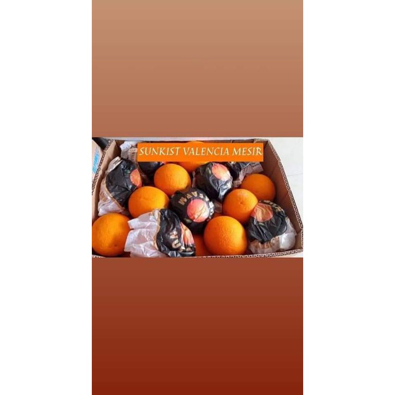 Jual Sunkist Valencia Mesir Citra Segar Sehat per Box 10 kg | Shopee Indonesia