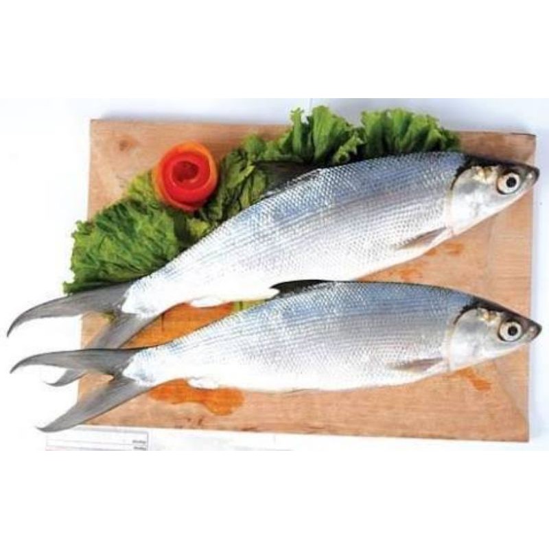 Jual ikan bandeng segar fresh - 1 kilogram | Shopee Indonesia