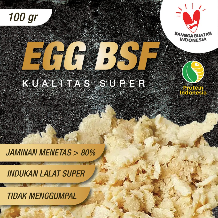 Jual Telur Black Soldier Fly Kualitas Super / Telur Maggot Egg BSF ...