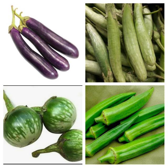 Jual Terong Ungu, Terong Hijau Bulat 500 gram, Terong Medan, Okra 250 ...
