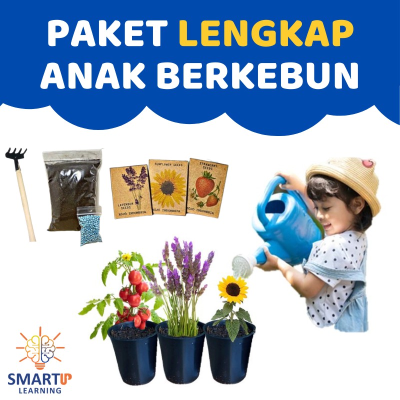 Jual JNJE11 paket diy edukatif berkebun gardening microgreen menanam ...
