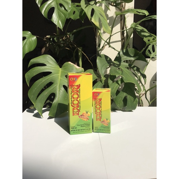 Jual Bioth EXCORI | Shopee Indonesia