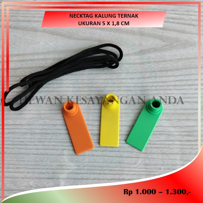 Jual Neck Tag Kambing Domba Necktag Kalung Ternak Ukuran 5 x 1,8 cm ...