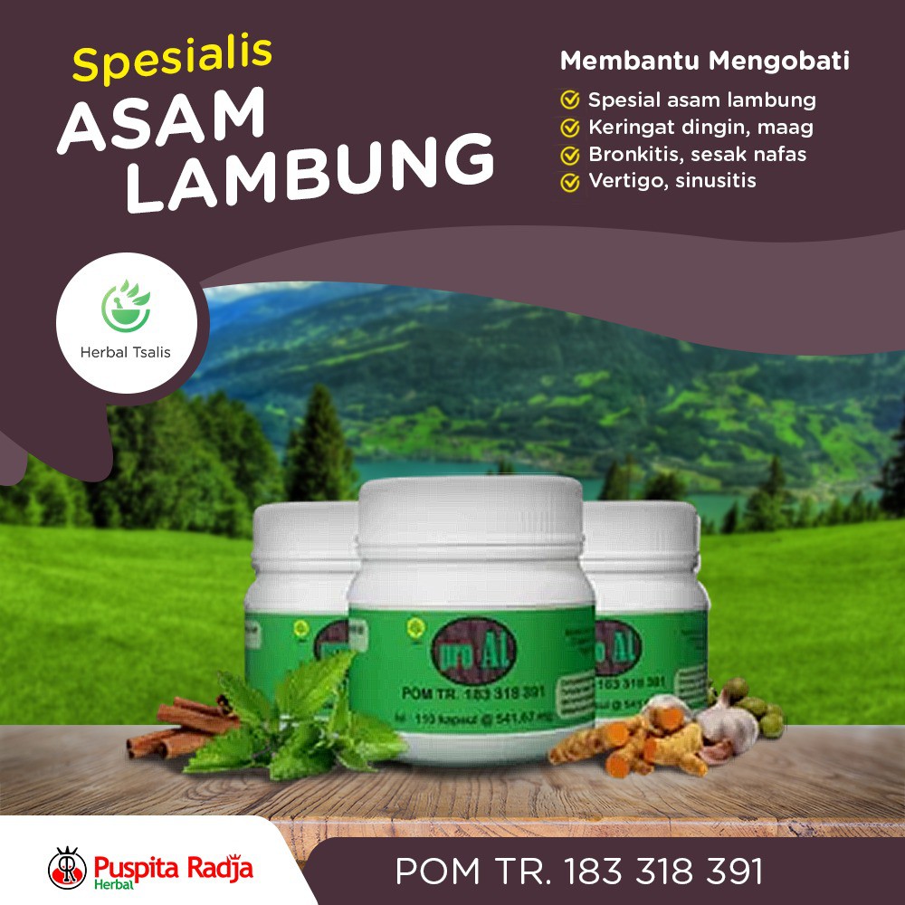 Jual PRO AL OBAT ASAM LAMBUNG KERINGGAT DINGIN MAAG BRONKIS SESAK NAFAS ...