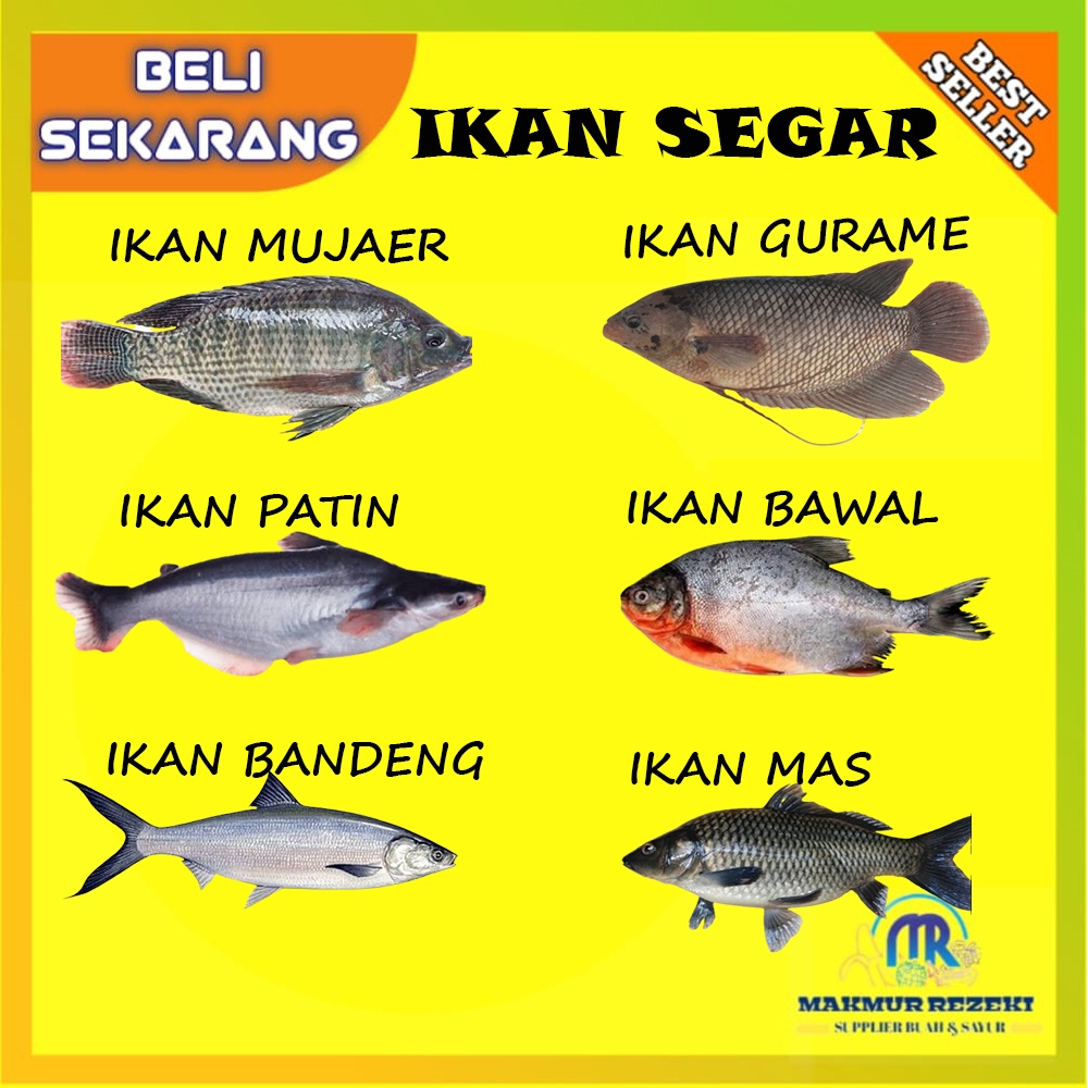 Jual ikan segar Harga Terbaik & Termurah Mei 2026 | Shopee Indonesia