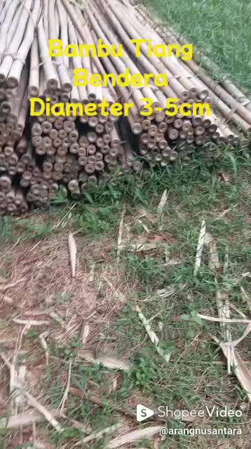 Jual Bambu Tiang Bendera Bambu Apus Panjang 3m, Untuk Baleho, Umbul2 ...