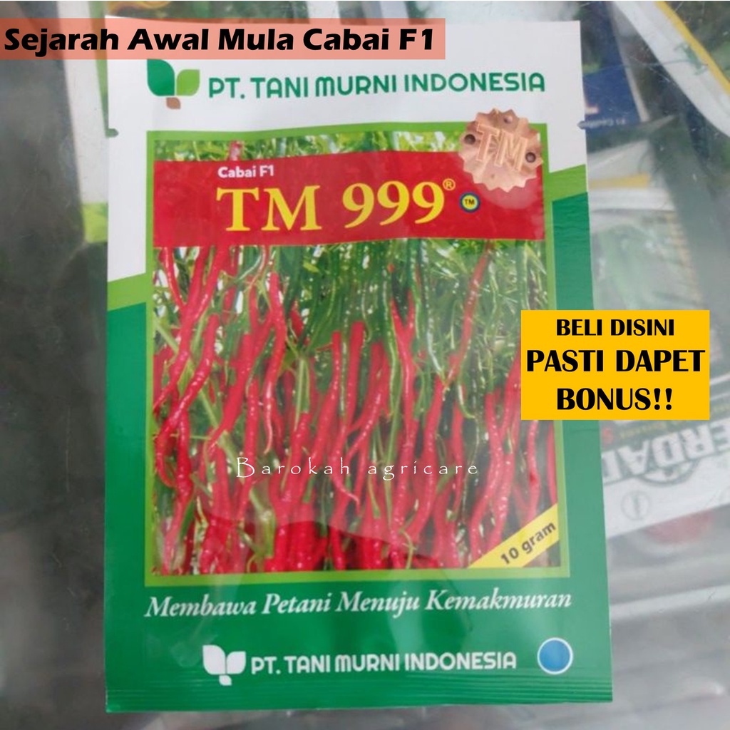 Jual Benih Cabe Keriting TM 999 tani murni 10 gram original | Shopee ...