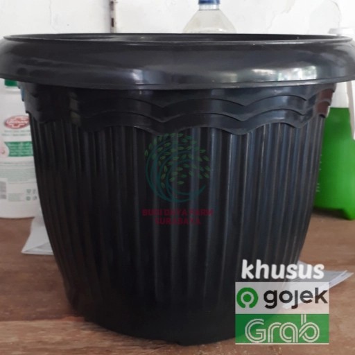 Jual Pot Cemara 60 cm merk GBL Hitam dan Putih | Shopee Indonesia