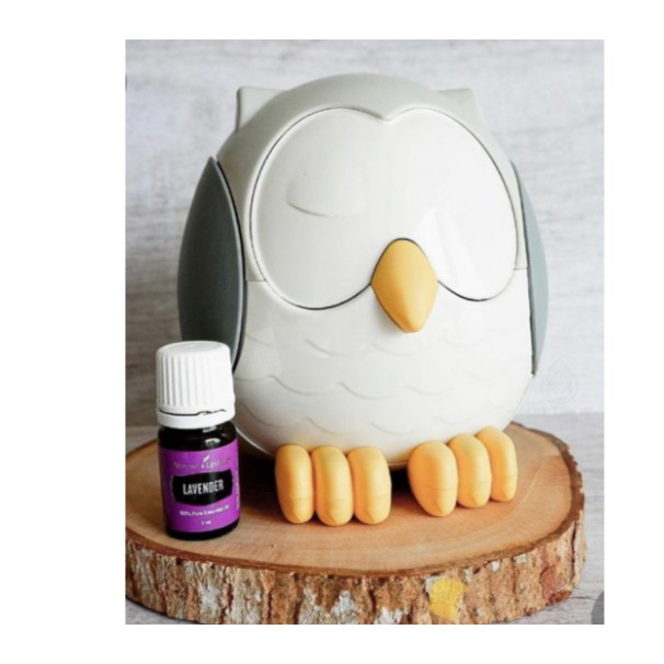 Jual Feather The Owl Young Living Diffuser-meme | Shopee Indonesia