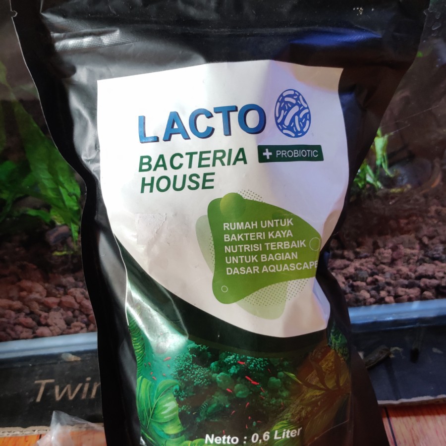Jual Lacto Bacteria House Rumah bakteri Media tanam Aquascape aquarium ...