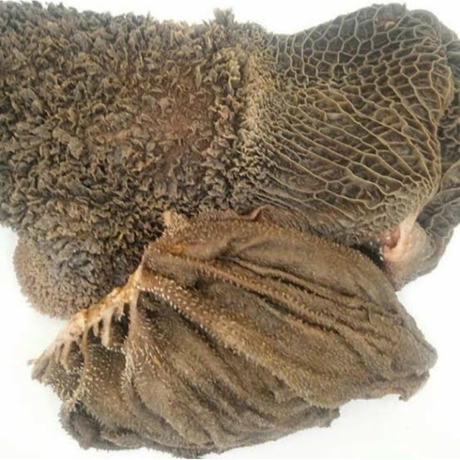 Jual Babat Sapi Lokal 500 gr Babat Handuk Babat Hitam 500gr | Shopee ...