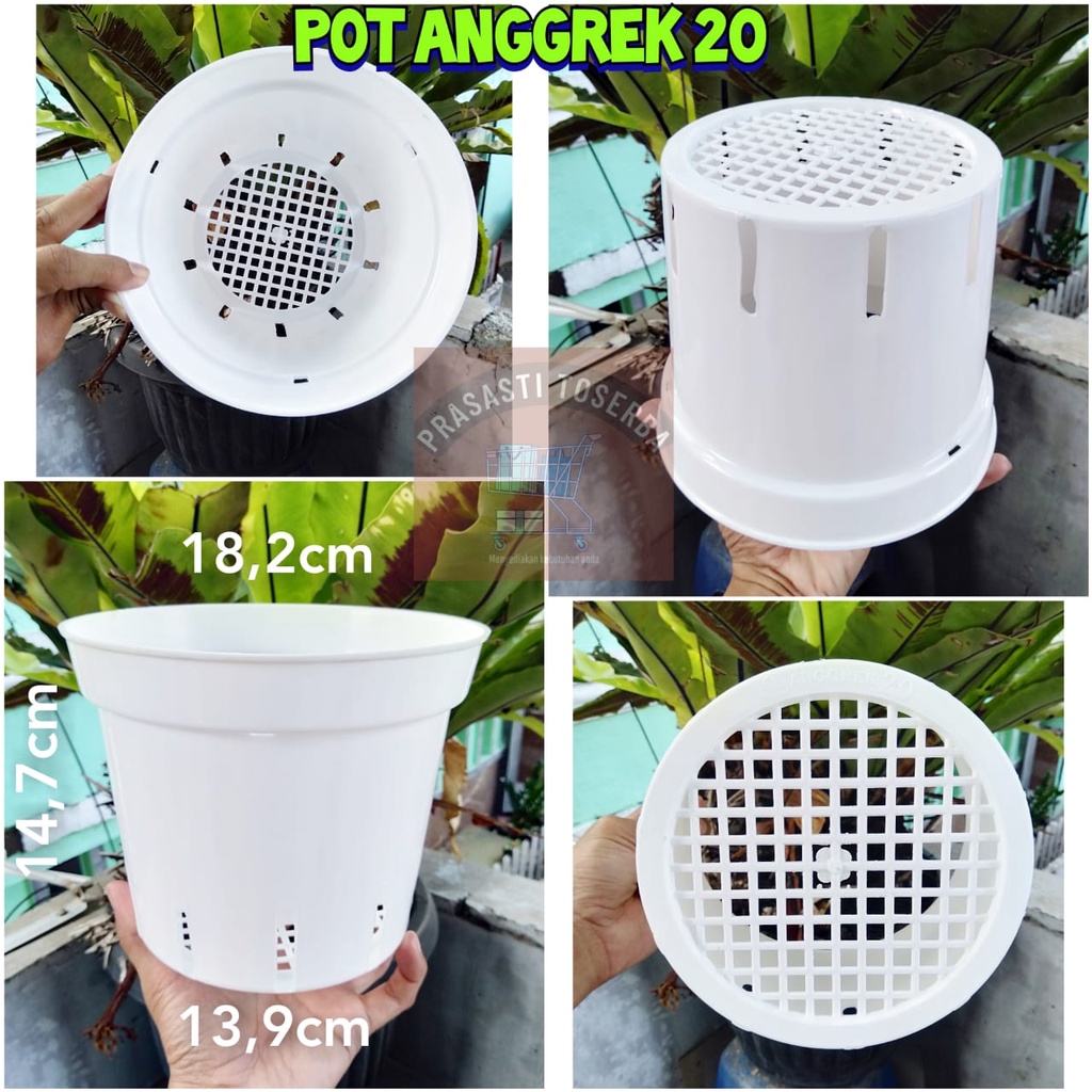 Jual Pot Anggrek 20 Pot Ukuran 20 Pot 20 Pot Tanaman Pot Bunga Warna ...