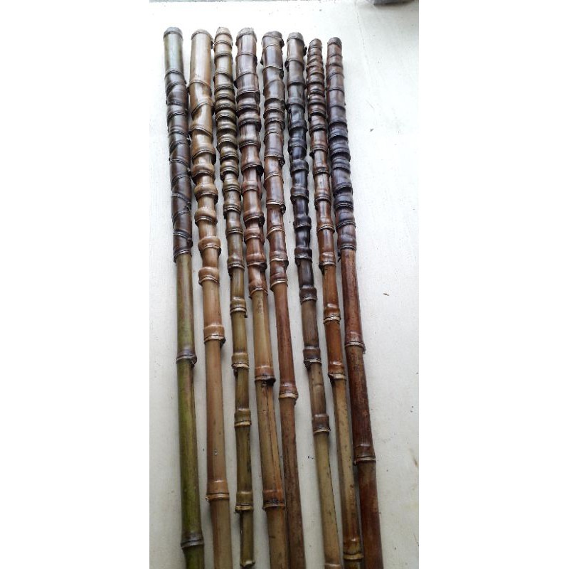 Jual bambu cendani gagangpancing | Shopee Indonesia