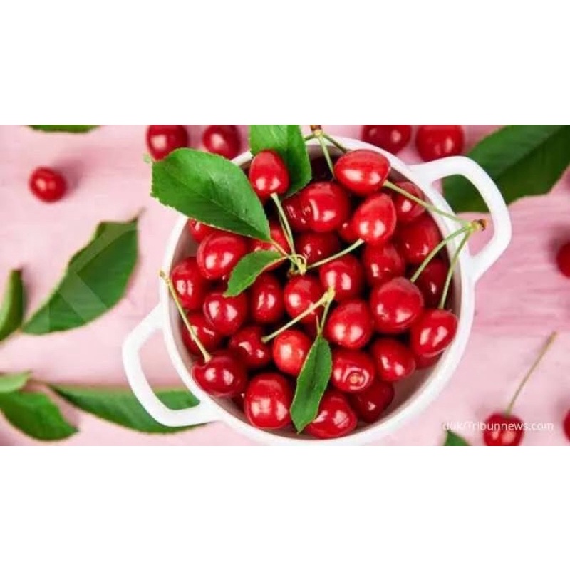Jual Buah cherry tangkai 10pcs | Shopee Indonesia