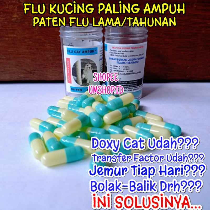 Jual Flu Cat Obat Paten Flu Kucing Ampuh Pilek Bersin bersin Inggusan ...