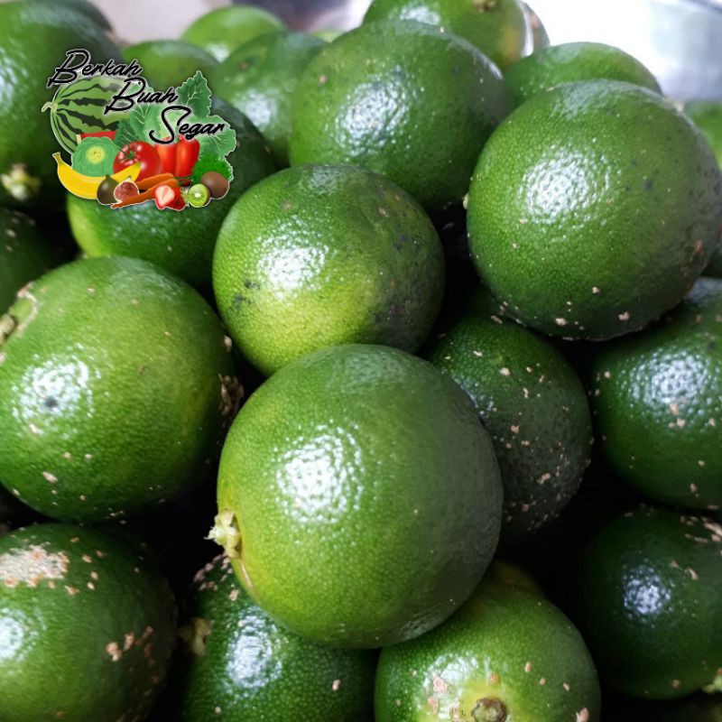 Jual Jeruk Kasturi / Jeruk Sonkit / Jeruk Kunci / Jeruk Cui - 500gr ...