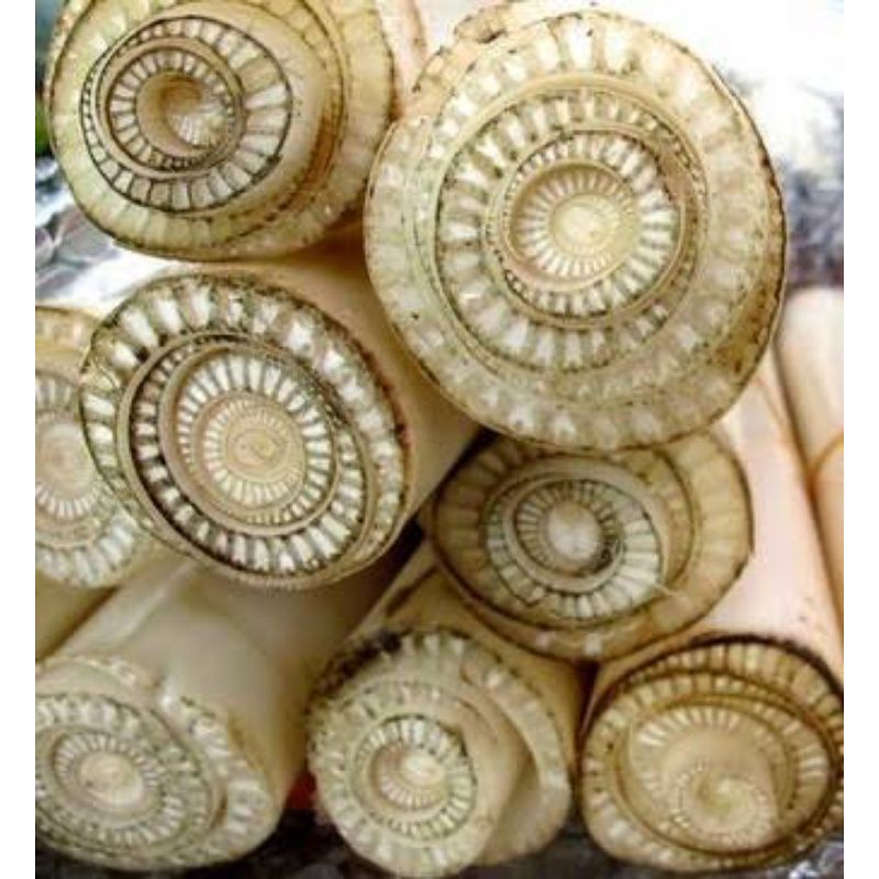 Jual GEDEBONG PISANG / BATANG PISANG 1Kg. | Shopee Indonesia