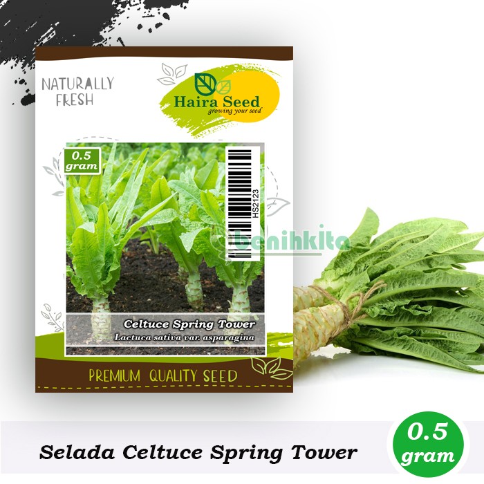 Jual Benih-Bibit Selada Wangi Batang Besar Celtuce Spring Tower (Haira ...