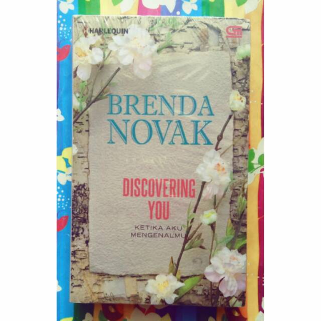 Jual Buku Bacaan Novel Roman Romance Discovering You by Brenda Novak | Shopee Indonesia