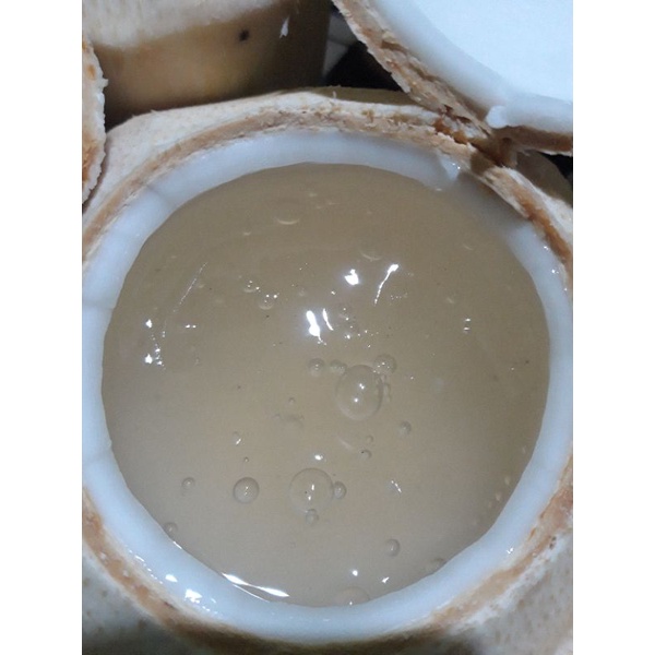 Jual degan jelly original | Shopee Indonesia