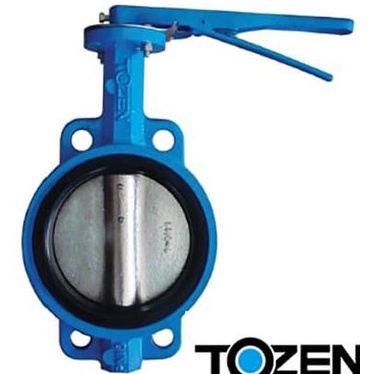 Jual Tozen Butterfly Valve 2 1/2" JIS 10K Body Cast Iron Disc Ductile ...