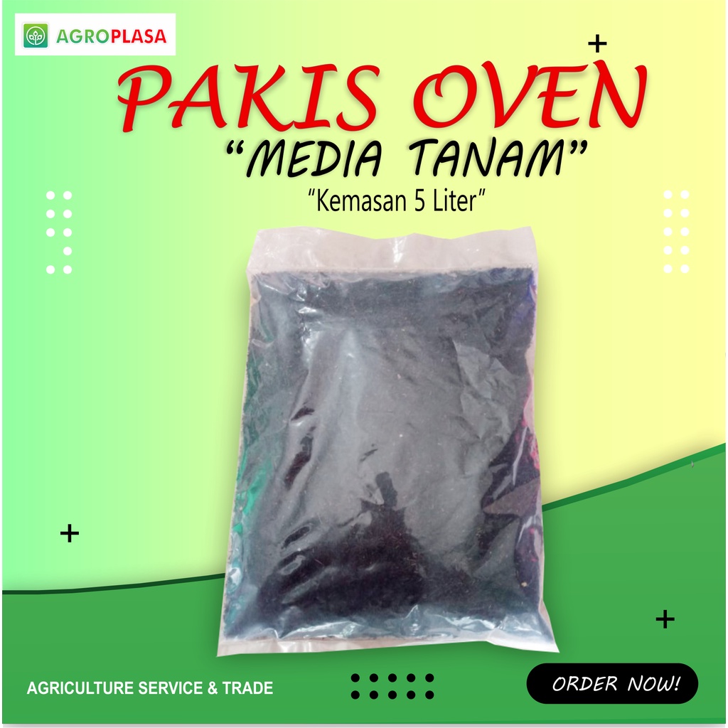 Jual Media Tanam Pakis Oven Pakis cacah kemasan 5liter | Shopee Indonesia