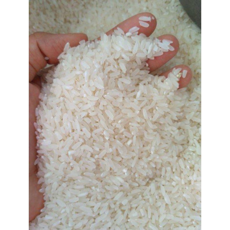 Jual BERAS PADANG SOLOK SOKAN BERAT 1 KG | Shopee Indonesia