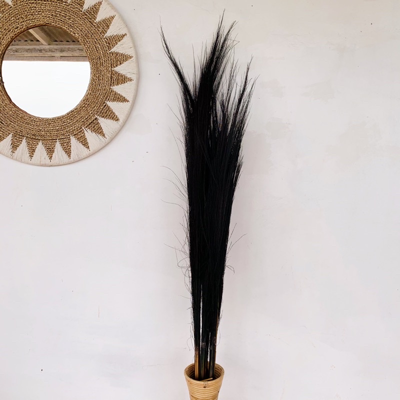 Jual Rayung Stick Pampas Panjang 1,5 Meter (1 ikat isi 3 batang ...