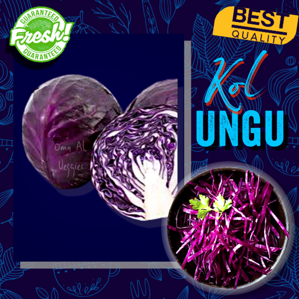 Jual KOL UNGU / PURPLE CABBAGE PER 500 Gr SAYURAN SEGAR | Shopee Indonesia