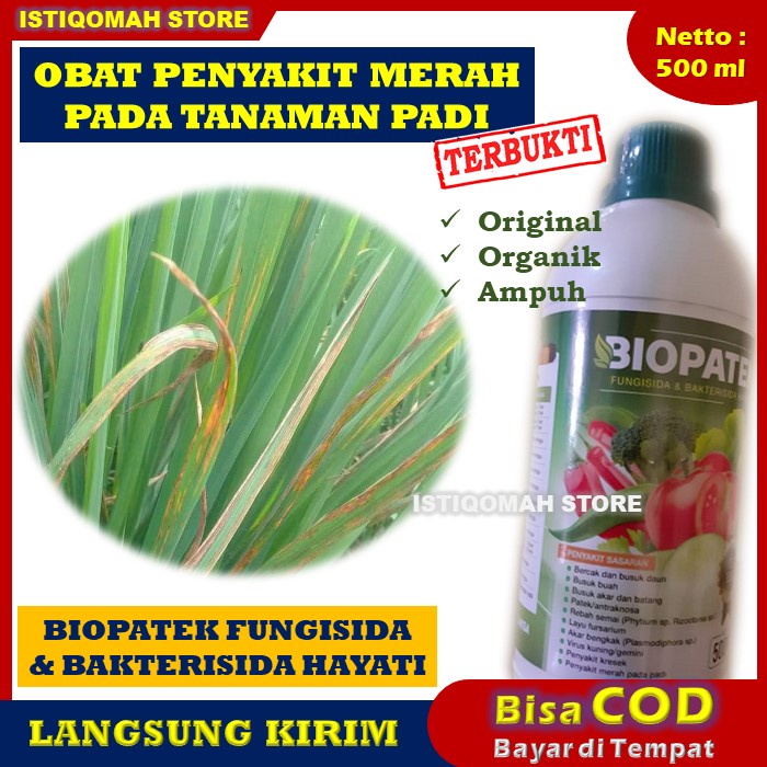 Jual OBAT HAMA PADI Fungisida & Bakterisida Hayati BIOPATEK 500ml Obat ...