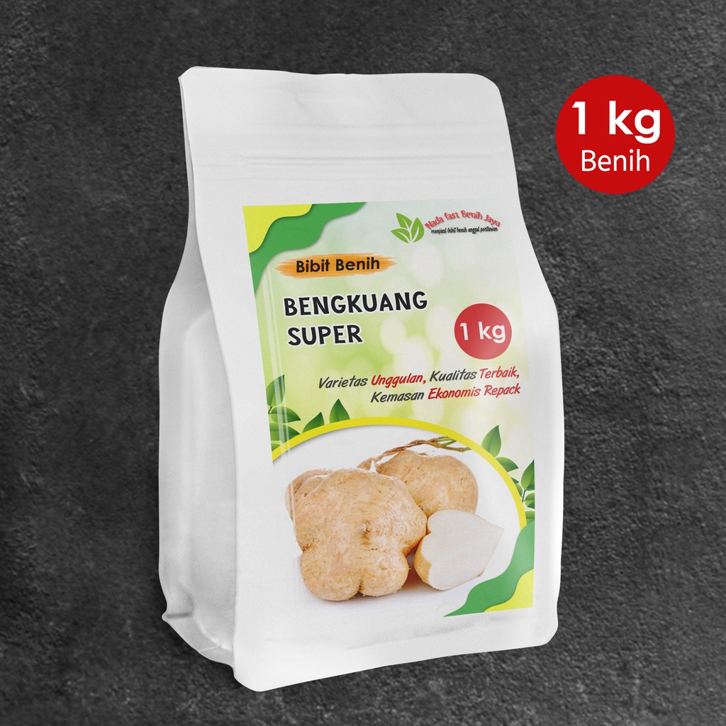 Jual Benih Pilihan bengkuang super 1 Kg / bibit bengkoang cepat tumbuh ...