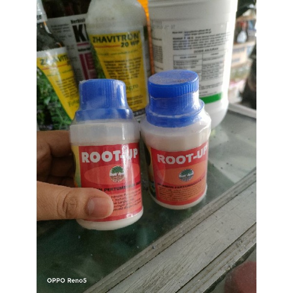 Jual Root-up perangsang akar bubuk isi 100gr | Shopee Indonesia