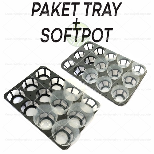 Jual PAKET TRAI ANGGREK + SOFPOT | TRAI ANGGREK MURAH | POT ANGGREK ...