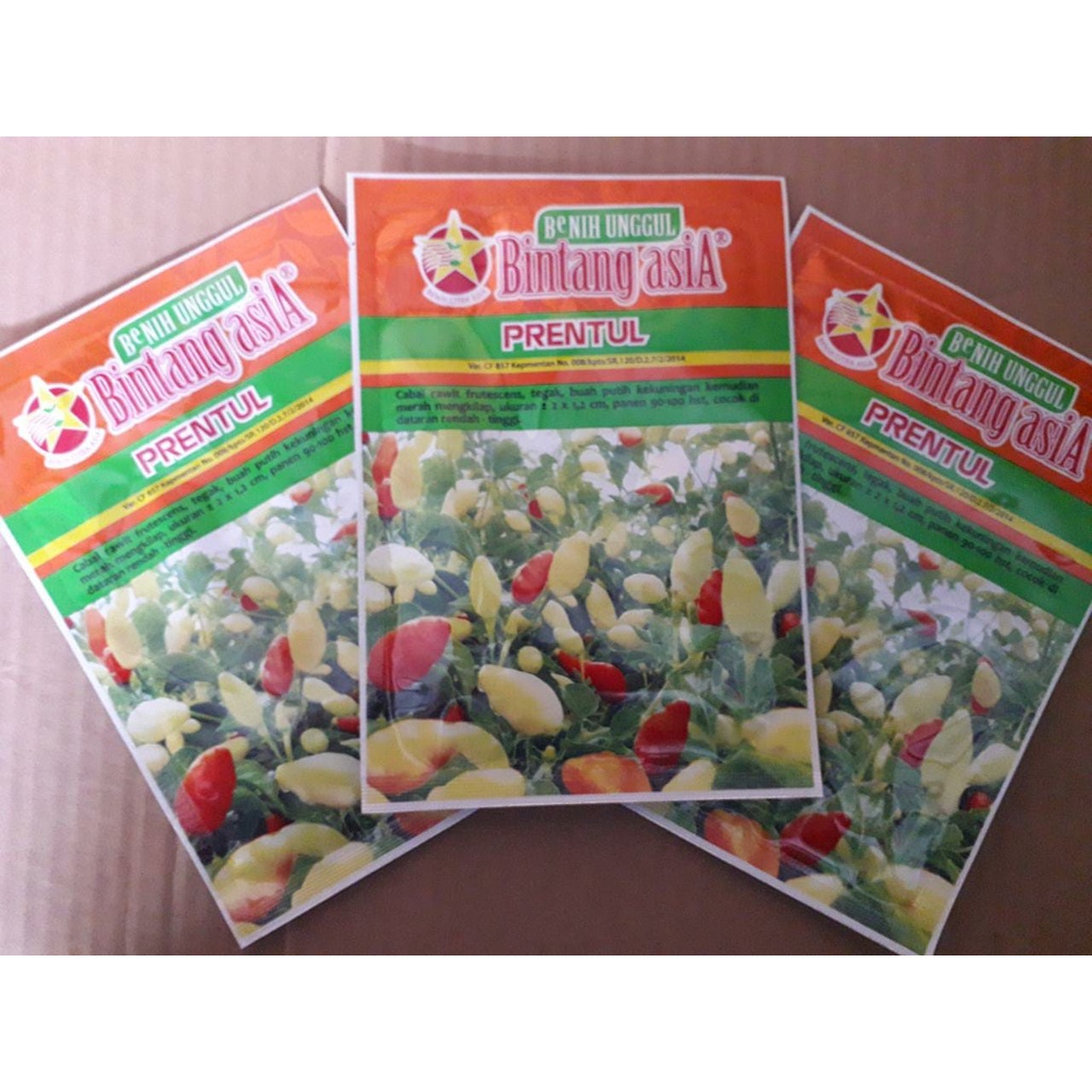 Jual benih bibit cabai cabe rawit prentul 10gram dari bintang asia ...