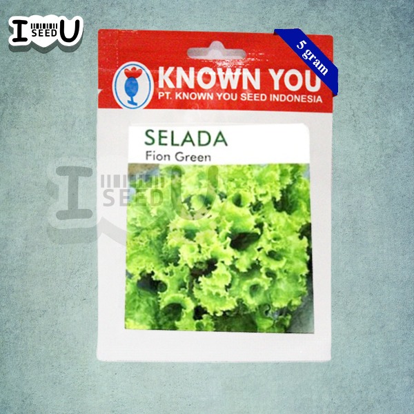 Jual Bibit-Biji Selada Keriting Hijau Fion Green - Known You Seed ...