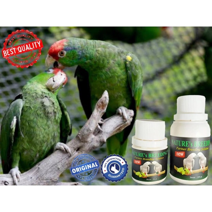 Jual burung-vitamin-obat- nature breeding vitamin ternak burung ...
